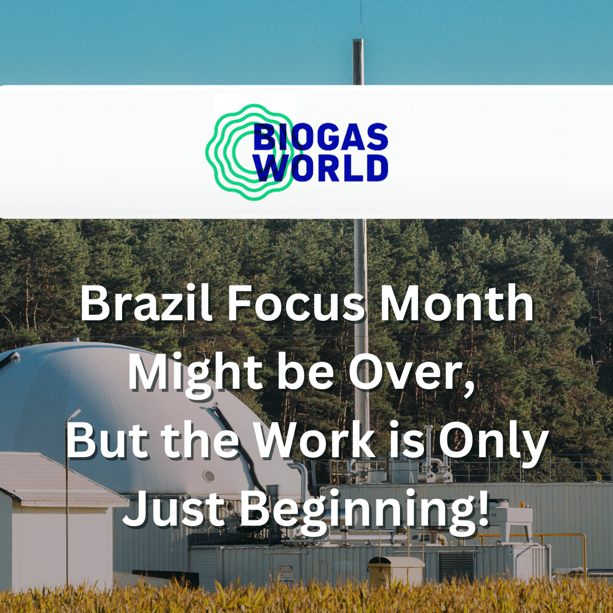 Brazil Focus Month Might be Over, But the Work is Only Just Beginning ...