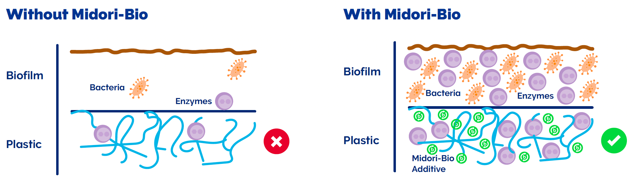 Midori Bio's Advanced BioRecycle™ Additive: Revolutionizing Waste ...